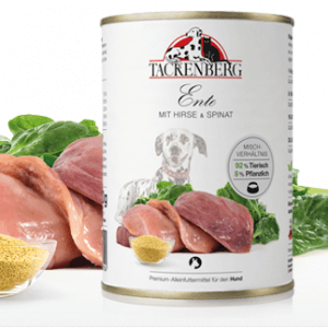 Hundefutter Vergleich - Wie gesund oder ungesund ist das Futter?